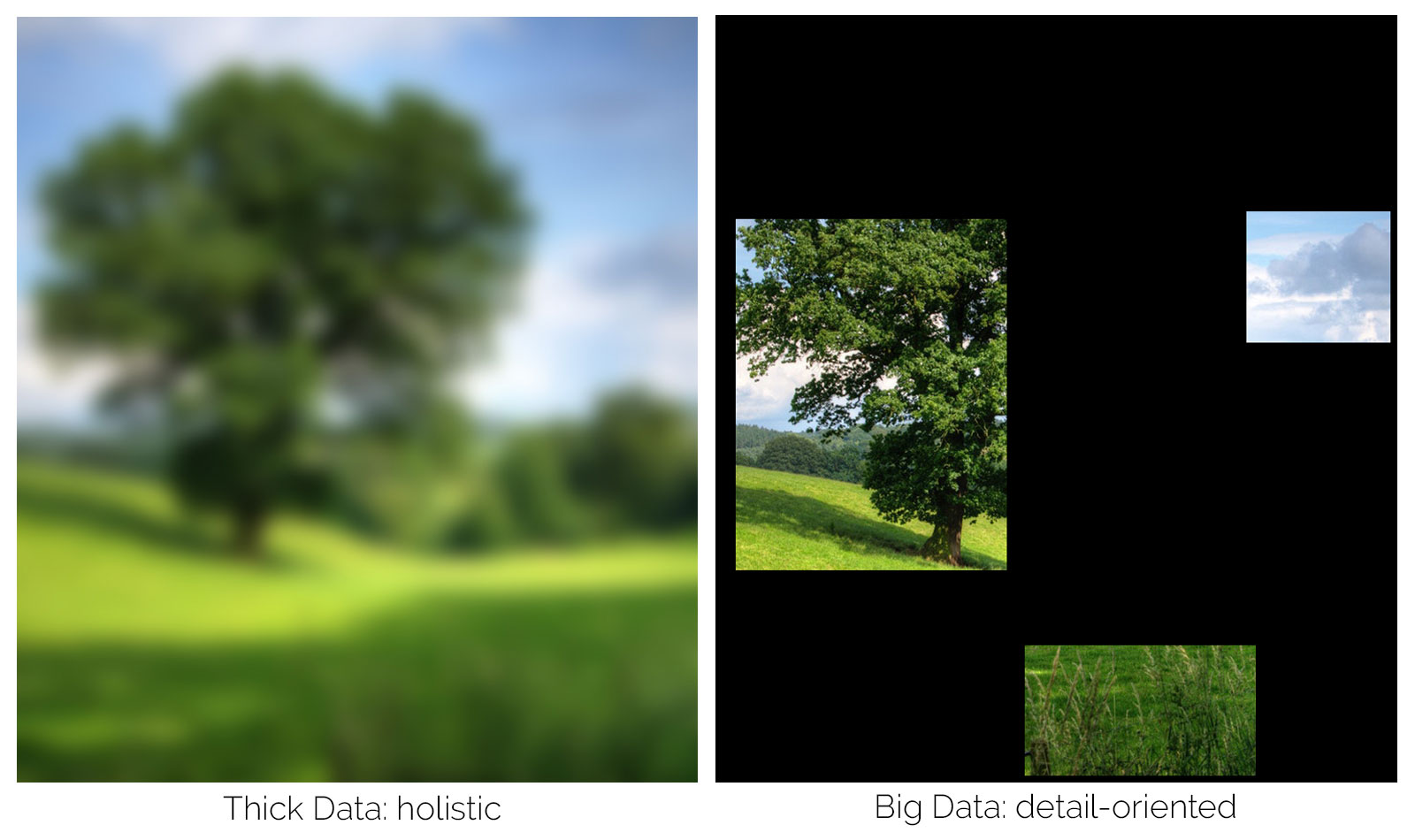 Thick Data Big Datas Complementary Brother 6144